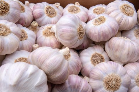 How to Get Garlic Smell Off Hands Instantly: 5 Proven Methods | Decades ...